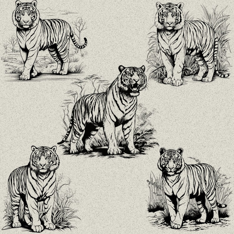 34 Tiger Bundle Detailed PNG and SVG Files Great for Laser Engraving or ...
