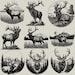 34 Elk Designs Bundle SVG & PNG for Laser Engraving or Print Bull Elk ...