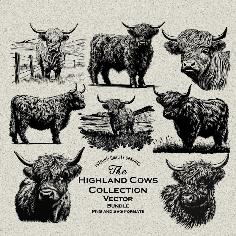 30 Highland Cow Designs Bundle PNG & SVG Digital Download for Laser ...