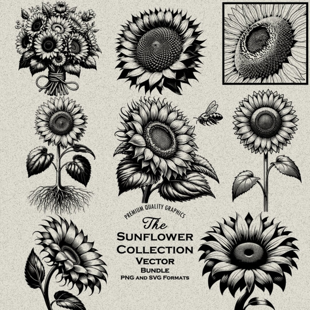 44 Sunflowers Bundle PNG & SVG for Laser Engraving or Print, Bee and Sunflower, Sunflower Seeds ...