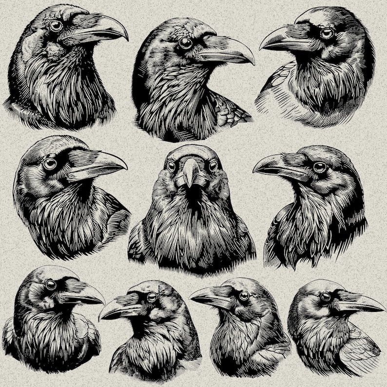 40 Raven and Crow Designs Bundle PNG & SVG Digital for Laser Engraving ...
