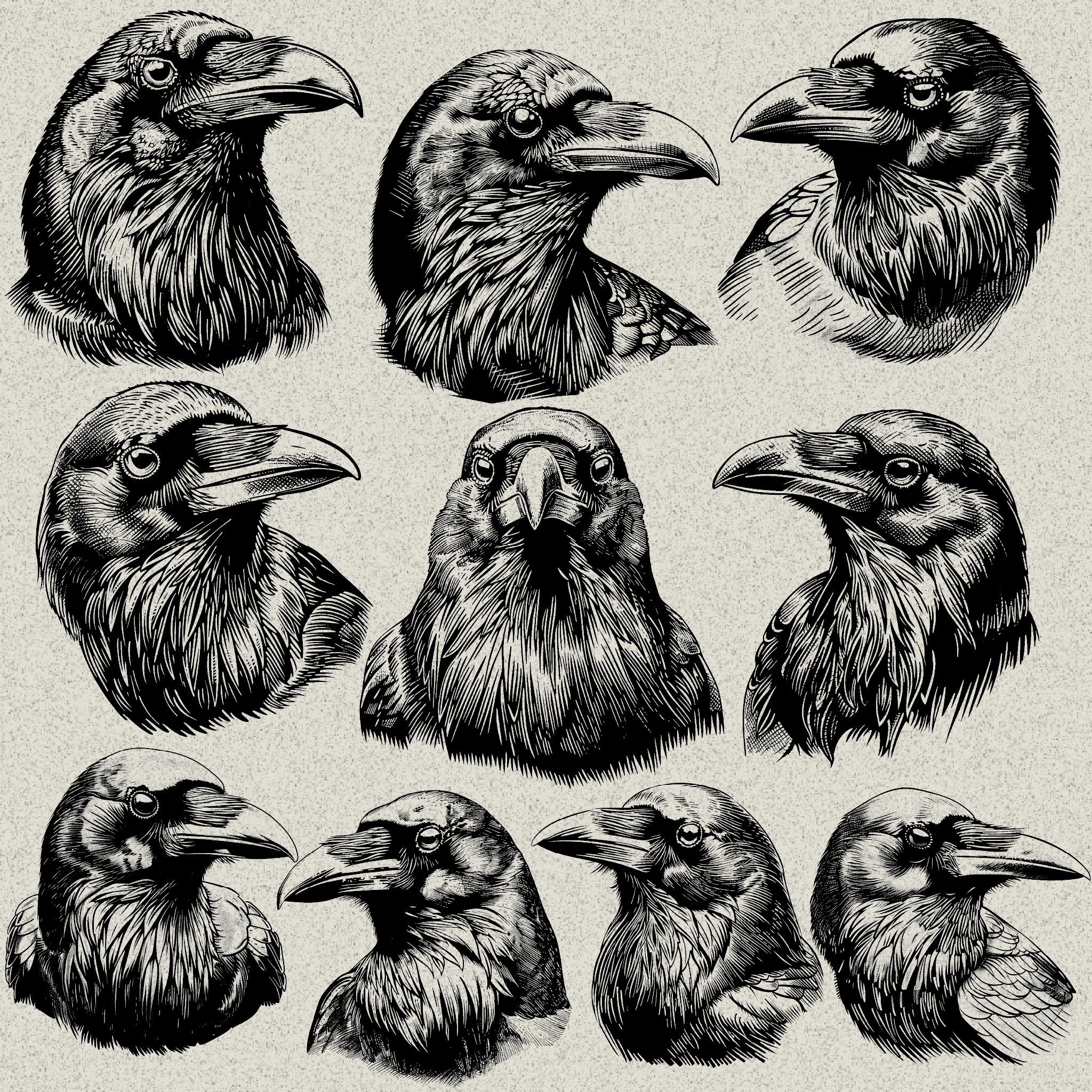 40 Raven and Crow Designs Bundle PNG & SVG Digital for Laser Engraving ...