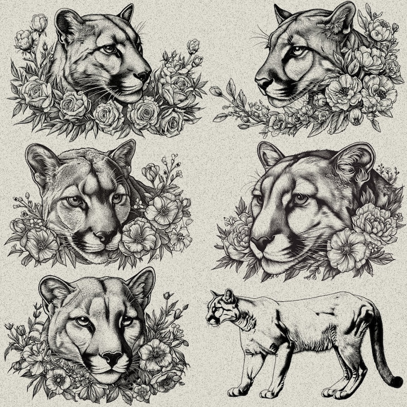 38 Cougar, Puma, Mountain Lion Detailed Designs Bundle PNG & SVG for ...