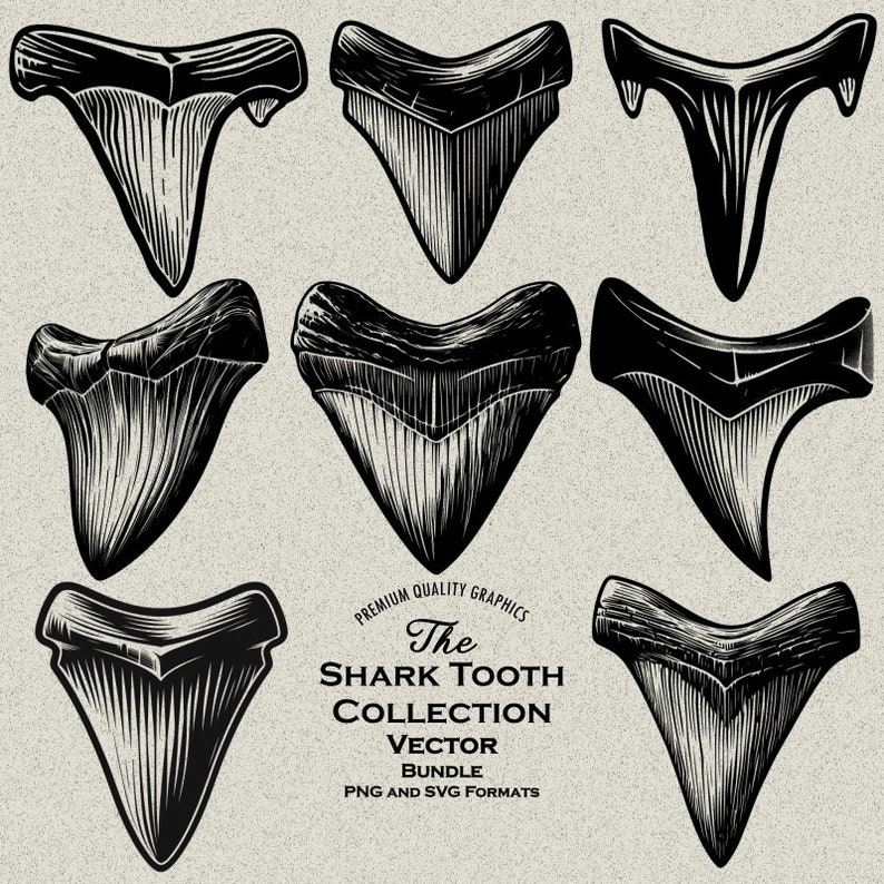 36 Shark Teeth Bundle PNG & SVG Digital for Laser Engraving or Print ...