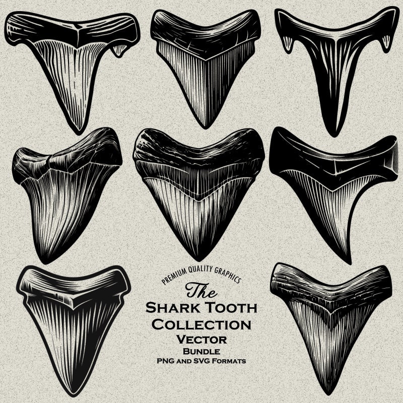 Shark Tooth Art - Etsy