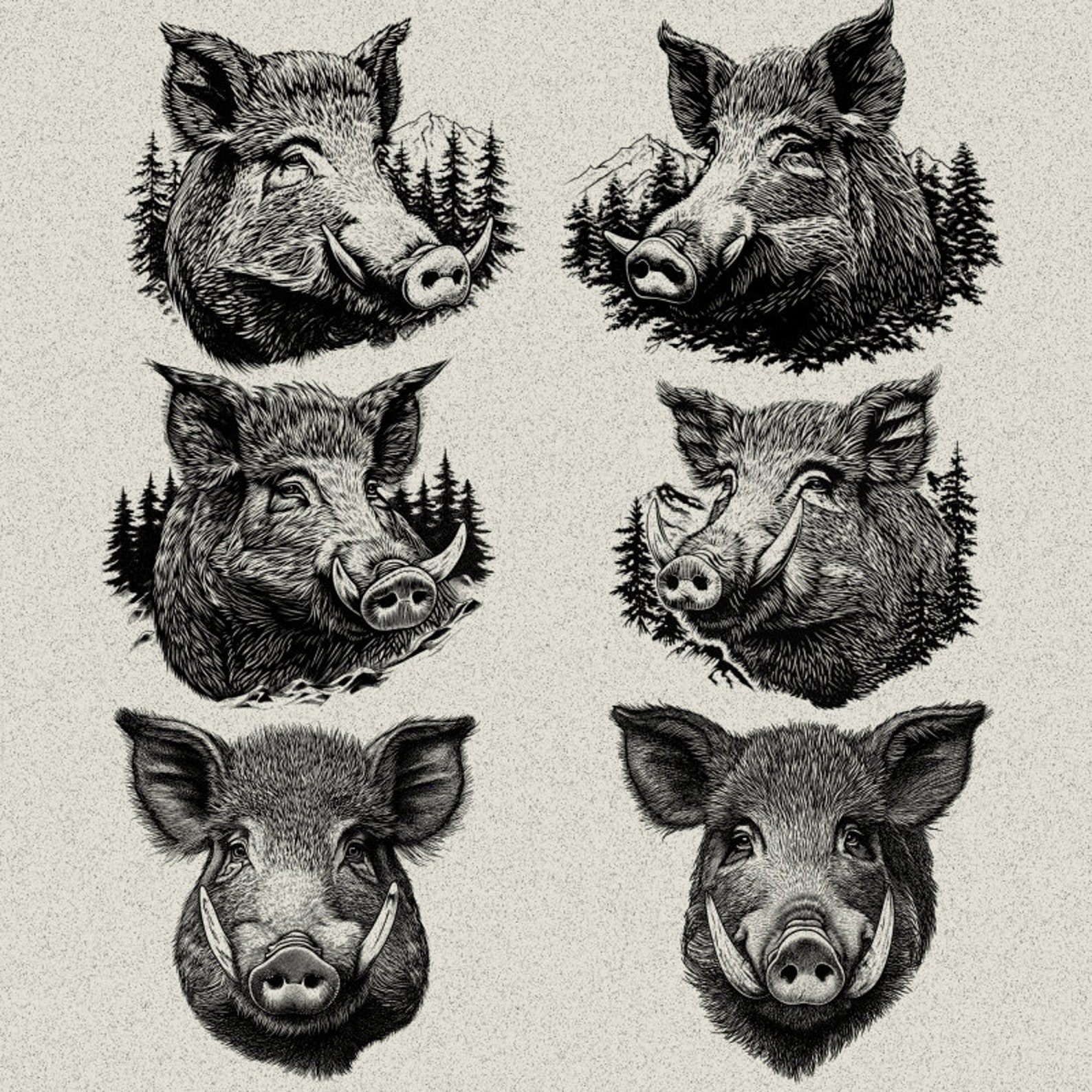 36 Wild Boar Detailed Designs Bundle PNG & SVG for Laser Engraving or ...