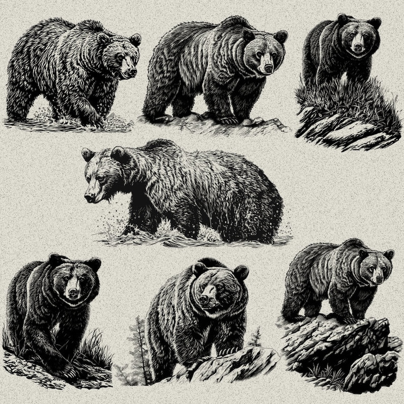 38 Bear High Detail SVG & PNG Bundle Pack for Laser Engraving or Print ...