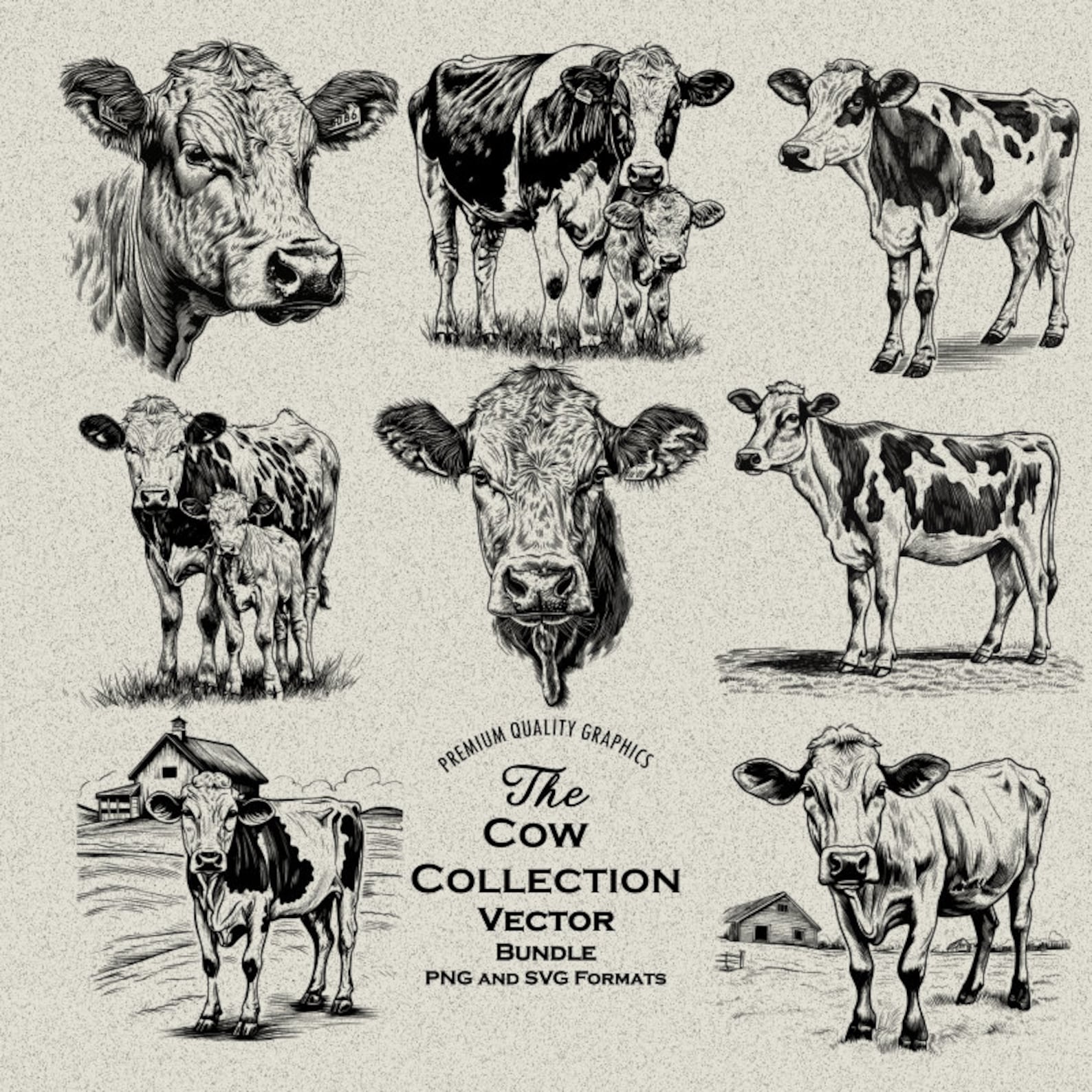 42 Cow Designs Bundle PNG & SVG for Laser Engraving or Print, Dairy Cow ...