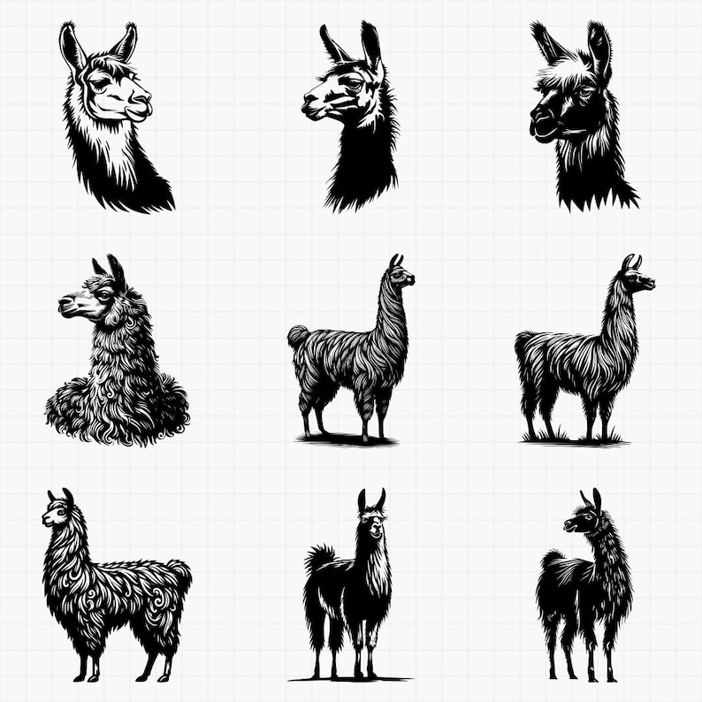Llama and Alpaca Designs Bundle PNG & SVG for Engraving, Print or ...
