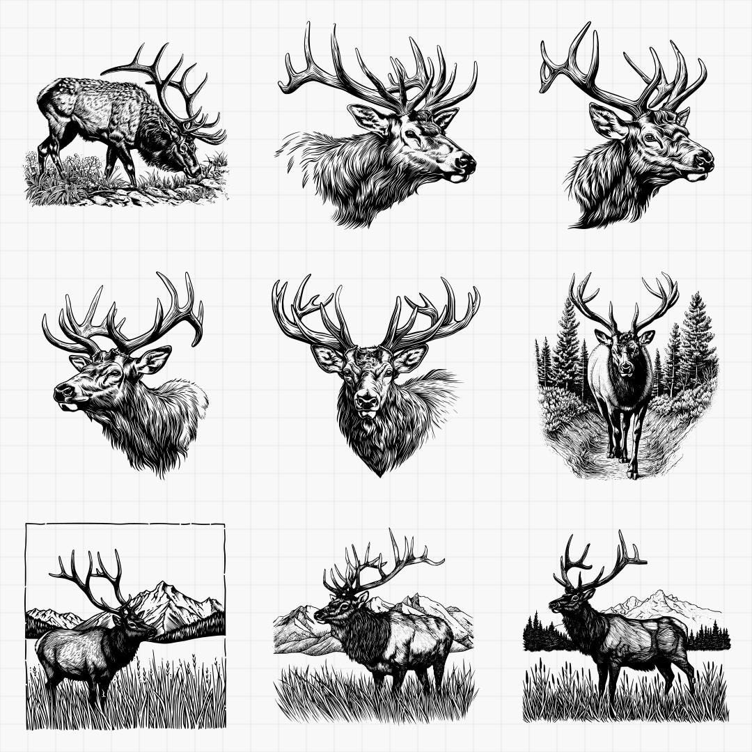 Elk Designs Bundle SVG & PNG for Laser Engraving or Print Bull Elk, Elk ...