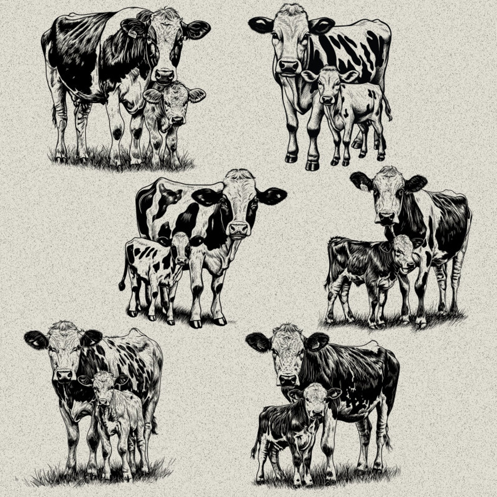 42 Cow Designs Bundle PNG & SVG for Laser Engraving or Print, Dairy Cow ...