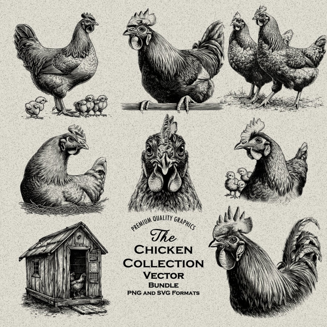 40 Chicken Designs Bundle PNG & SVG for Laser Engraving or Print, Chick ...