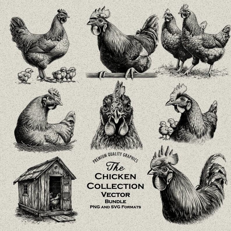 40 Chicken Designs Bundle PNG & SVG for Laser Engraving or Print, Chick ...