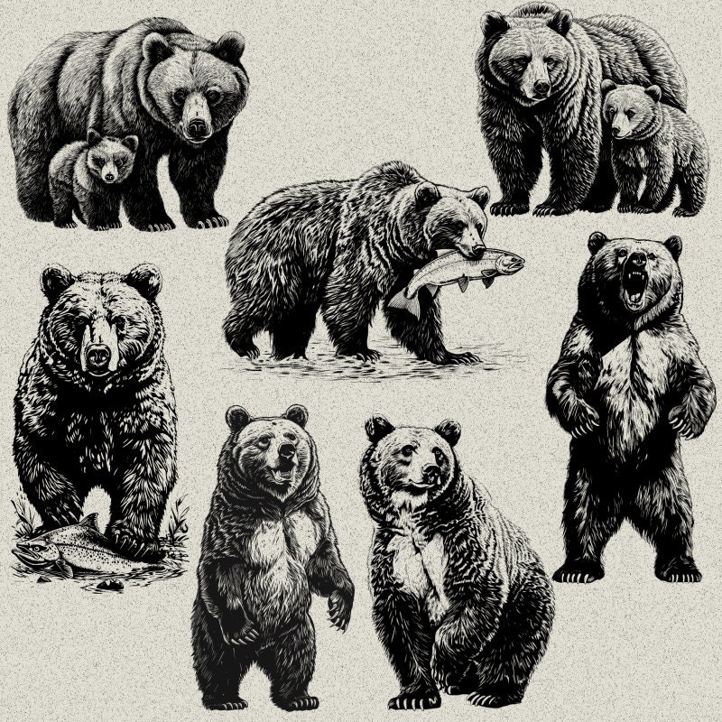 38 Bear High Detail SVG & PNG Bundle Pack for Laser Engraving or Print ...
