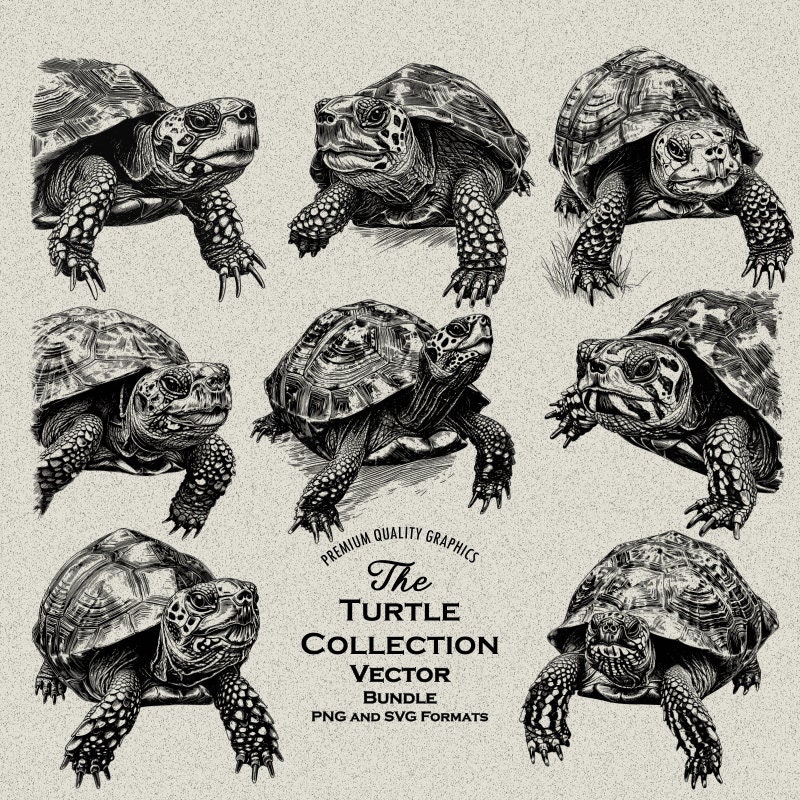 36 Turtle Designs Bundle PNG & SVG for Laser Engraving or Print ...