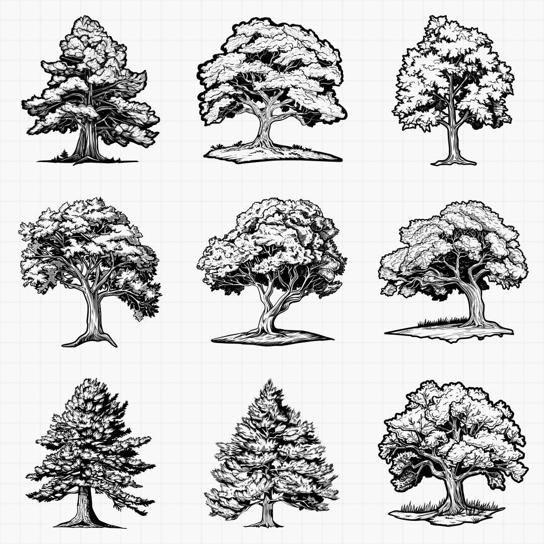 Tree SVG & PNG Bundle Designs for Laser Engraving, Print-on-demand, Oak ...
