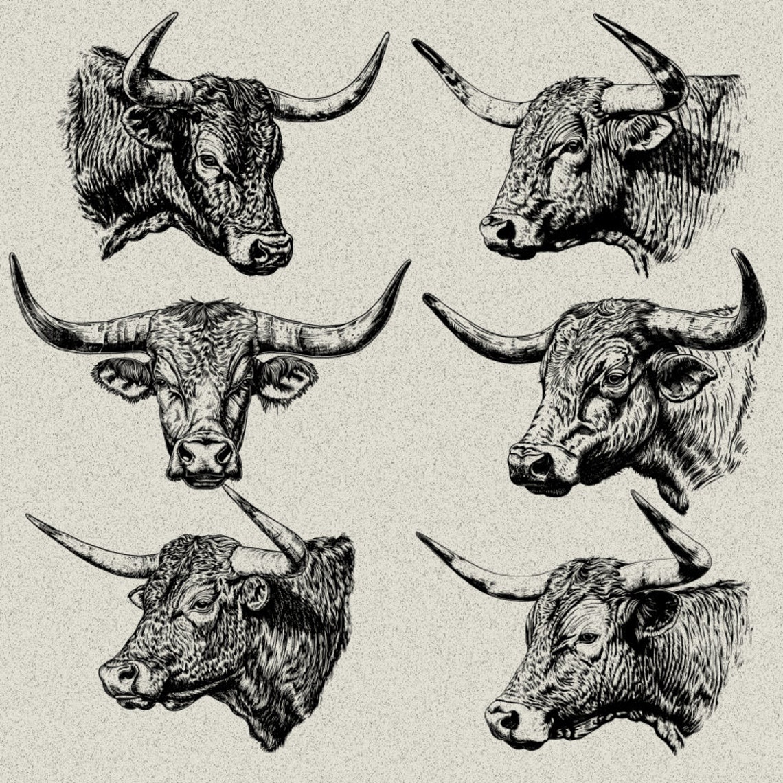 36 Bull Designs Bundle PNG & SVG for Laser Engraving or Print, Texas ...