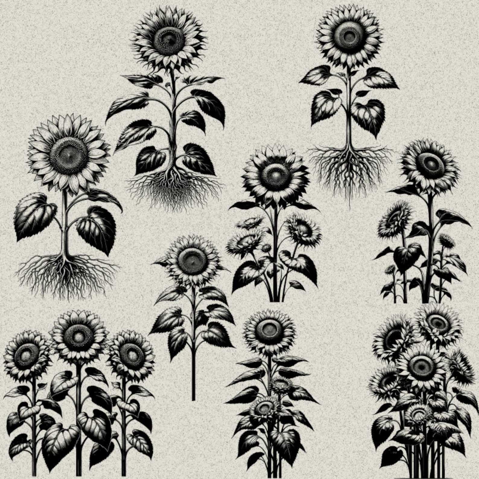44 Sunflowers Bundle PNG & SVG for Laser Engraving or Print, Bee and ...
