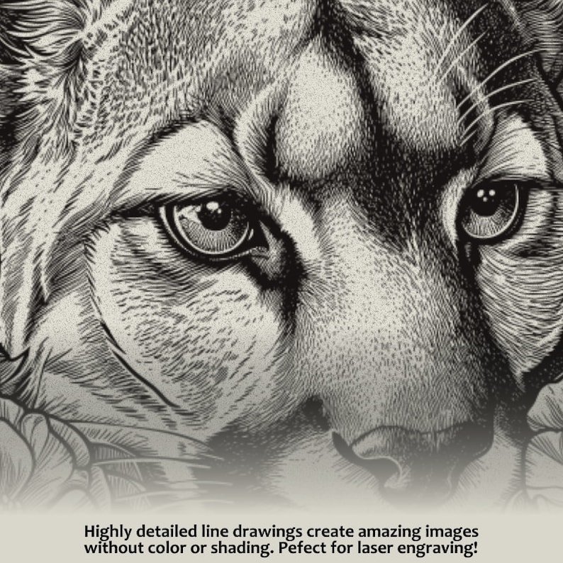 38 Cougar, Puma, Mountain Lion Detailed Designs Bundle PNG & SVG for ...