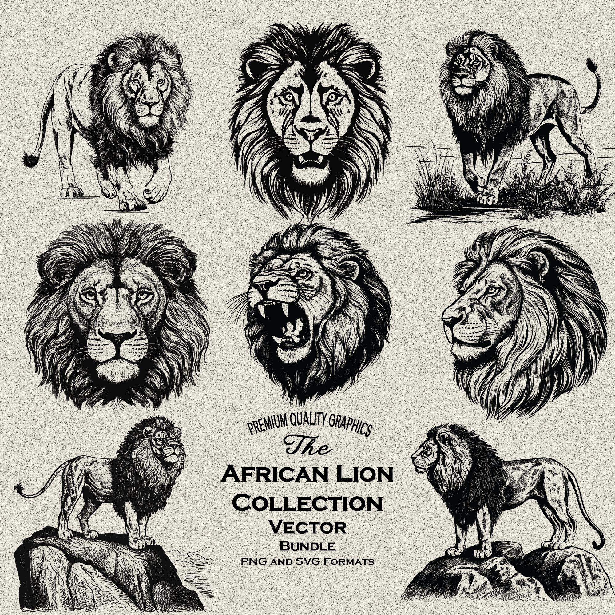 24-african Lion Bundle High Detail PNG and SVG Files Great for Laser ...