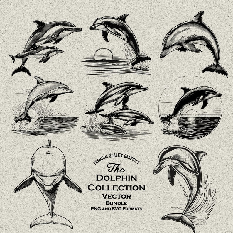 40 Dolphin Designs Bundle PNG & SVG for Laser Engraving or Print ...