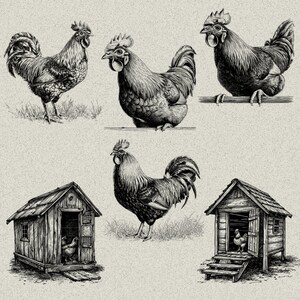 40 Chicken Designs Bundle PNG & SVG for Laser Engraving or Print, Chick ...