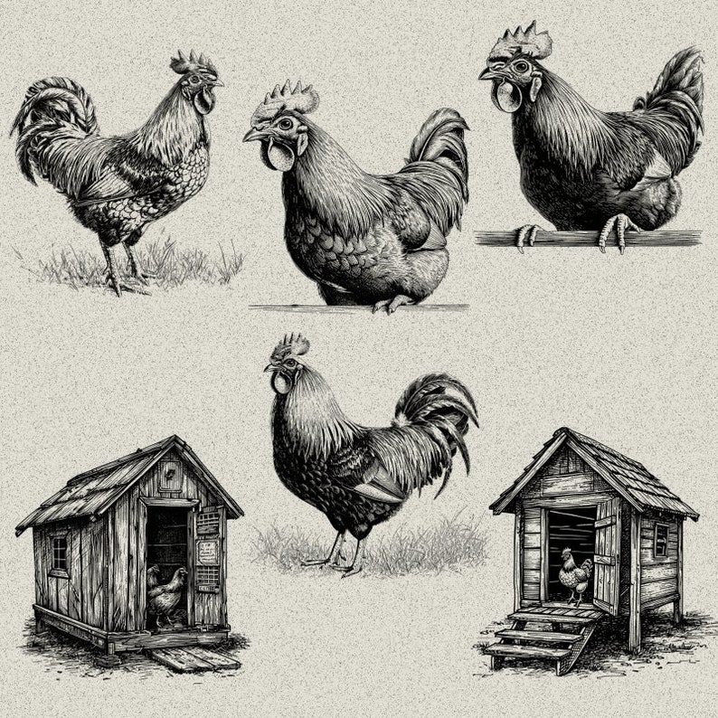 40 Chicken Designs Bundle PNG & SVG for Laser Engraving or Print, Chick ...