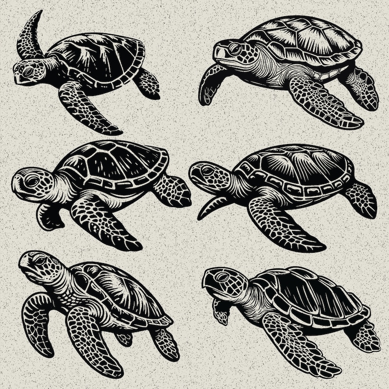 34 Sea Turtle Graphics SVG and PNG Bundle: Laser Engraver and Print ...