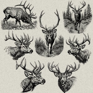 34 Elk Designs Bundle SVG & PNG for Laser Engraving or Print Bull Elk ...