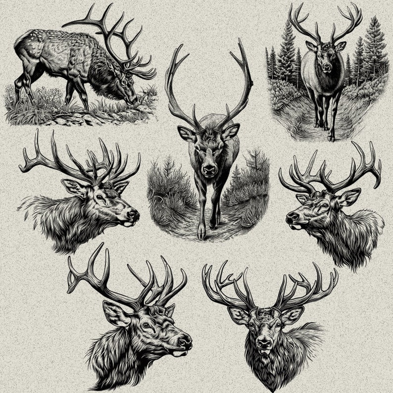 34 Elk Designs Bundle SVG & PNG for Laser Engraving or Print Bull Elk ...