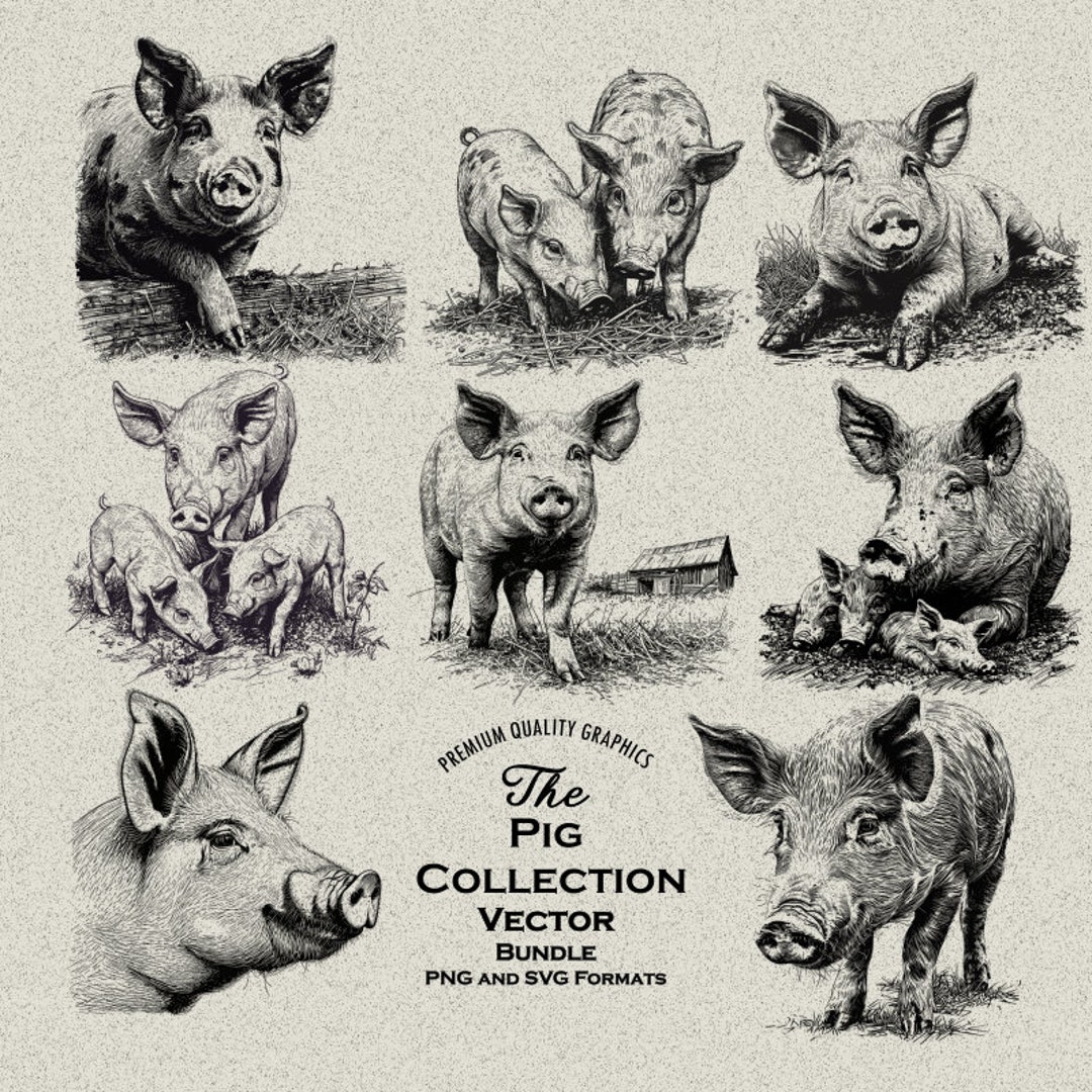 42 Pig Designs Bundle PNG & SVG for Laser Engraving or Print, Piglet ...