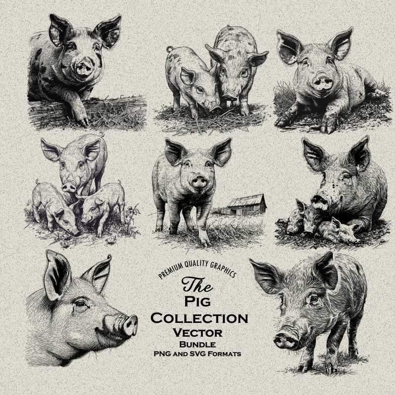 42 Pig Designs Bundle PNG & SVG for Laser Engraving or Print, Piglet ...