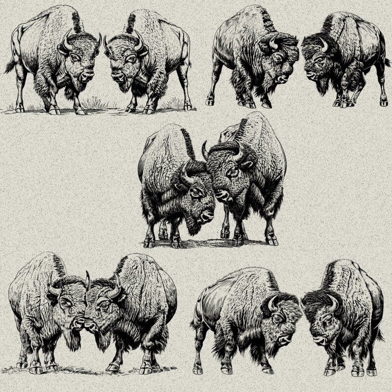 34 American Bison Designs Bundle PNG & SVG Digital for Laser Engraving ...