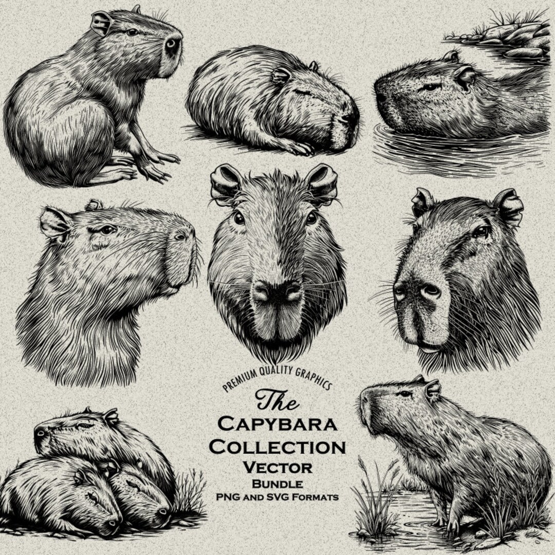 30 Capybara Designs Bundle SVG & PNG for Laser Engraving or Print, Capy ...