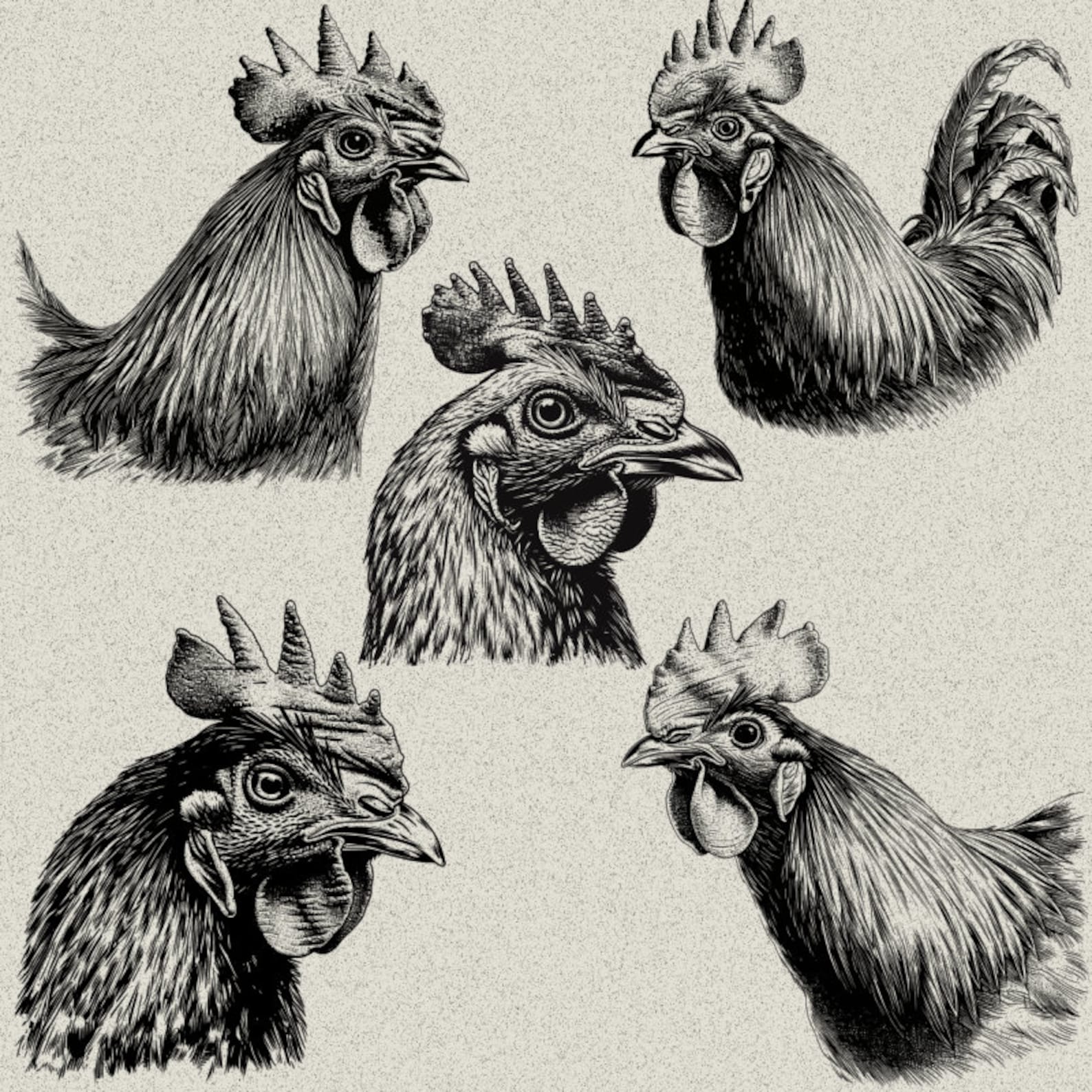 40 Chicken Designs Bundle PNG & SVG for Laser Engraving or Print, Chick ...