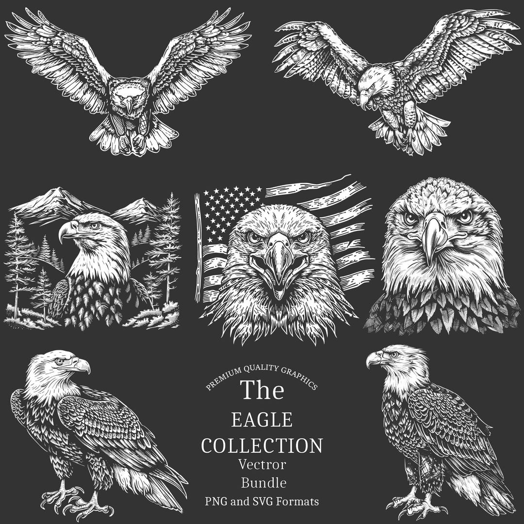 30 Eagle Designs for Slate or Dark Materials Bundle PNG & SVG Digital ...