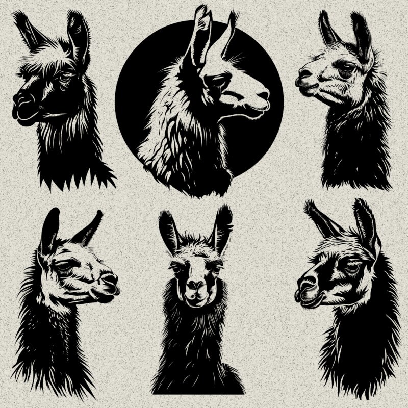 30 Llama and Alpaca Designs Bundle PNG & SVG for Engraving, Print or ...