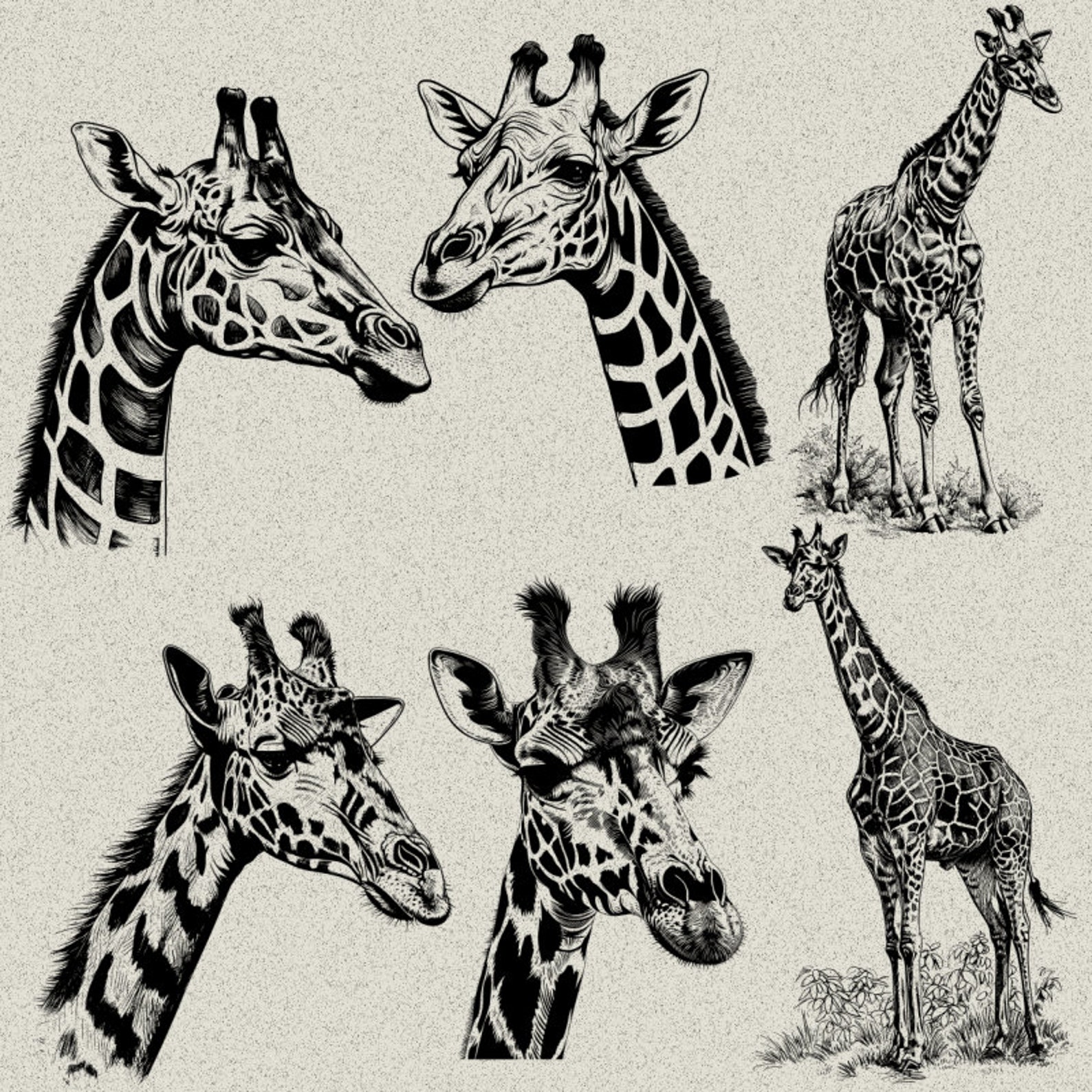 43 Giraffe Design Bundle PNG & SVG for Laser Engraving or Print. Baby ...