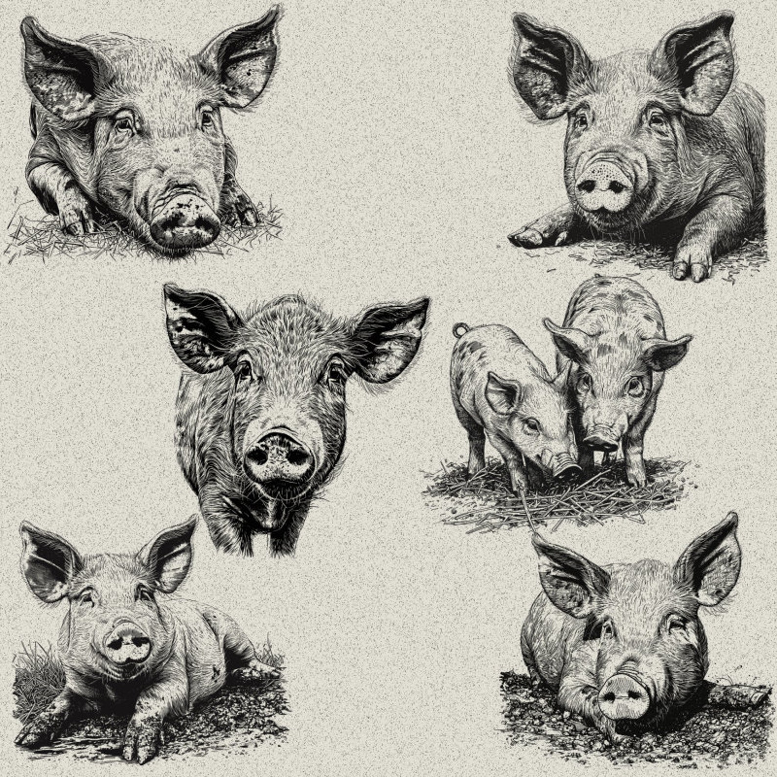 42 Pig Designs Bundle PNG & SVG for Laser Engraving or Print, Piglet ...