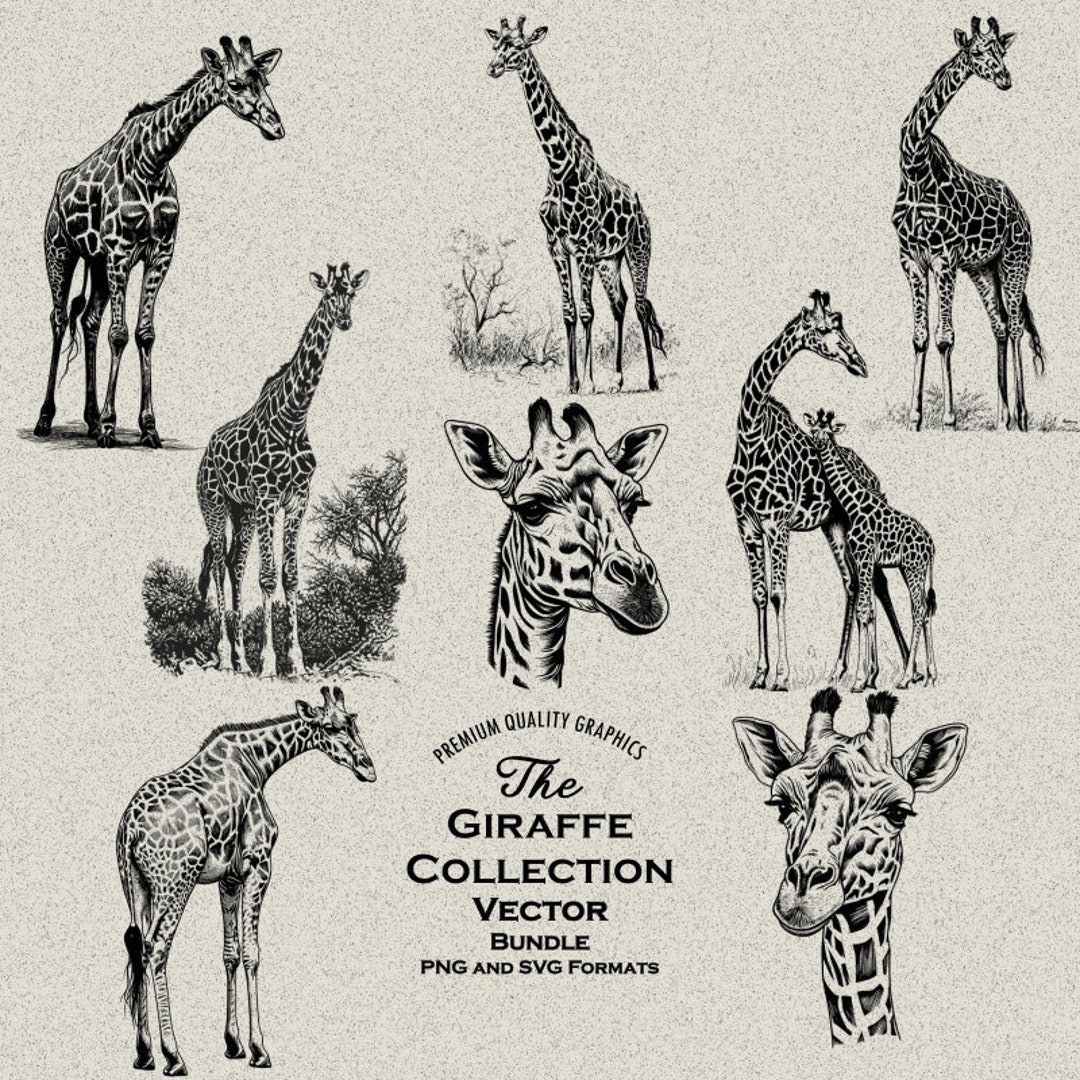 43 Giraffe Design Bundle PNG & SVG for Laser Engraving or Print. Baby ...