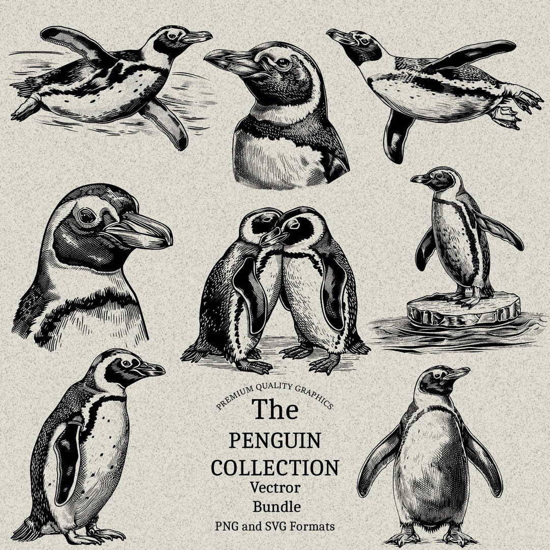 33 Penguin Designs Bundle PNG & SVG Digital for Laser Engraving or ...