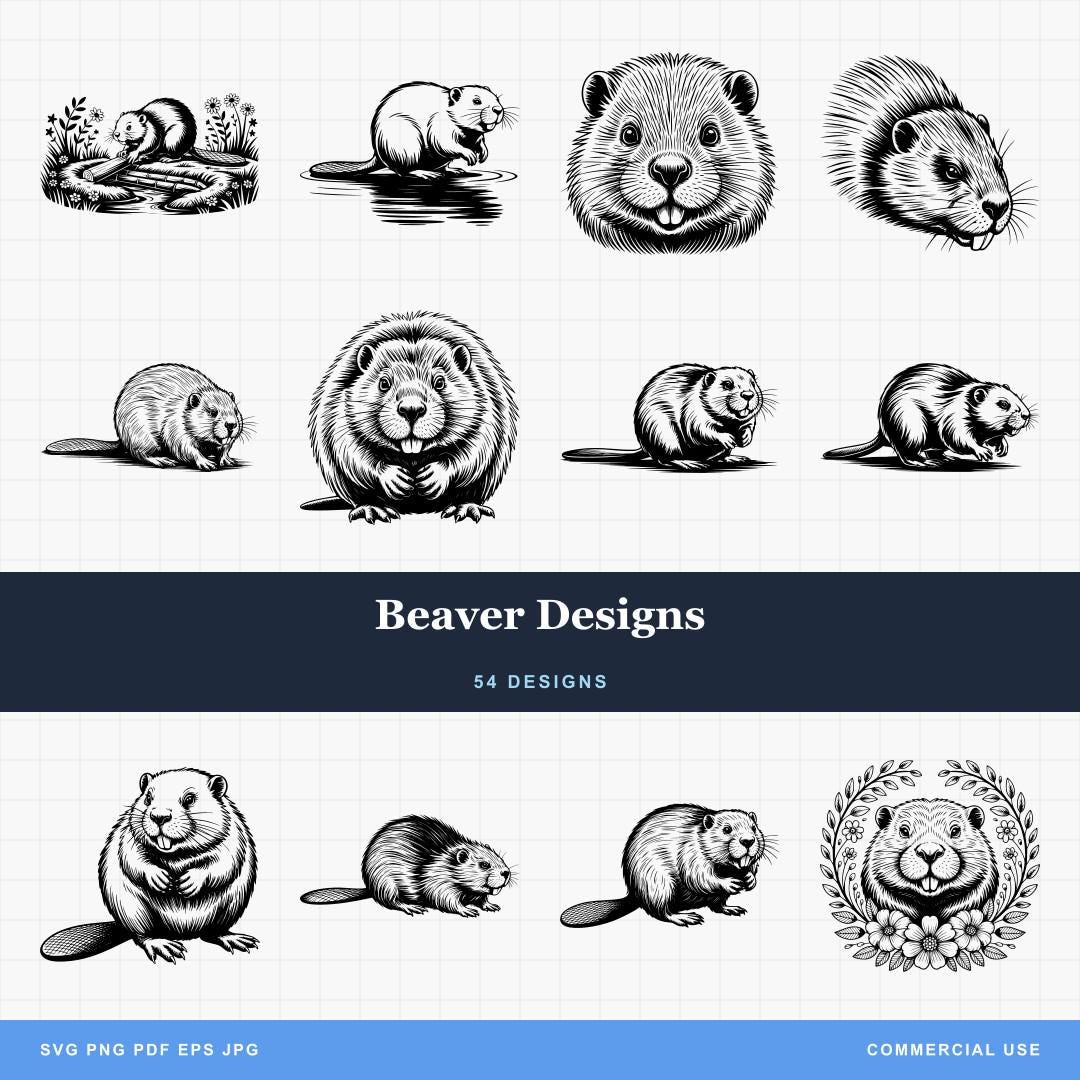 Beaver SVG & PNG Bundle. Wildlife, Nature, Woodland, Forest Animal, Dam ...