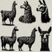30 Llama and Alpaca Designs Bundle PNG & SVG for Engraving, Print or ...