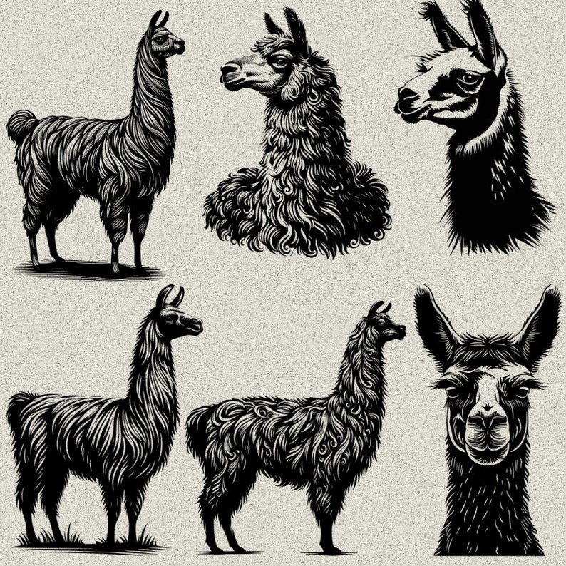 30 Llama and Alpaca Designs Bundle PNG & SVG for Engraving, Print or ...