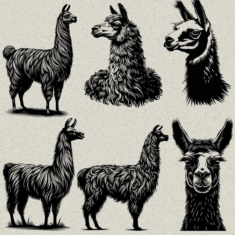 30 Llama and Alpaca Designs Bundle PNG & SVG for Engraving, Print or ... 30 Llama and Alpaca Designs Bundle PNG & SVG for Engraving, Print or ...