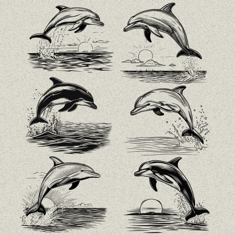 40 Dolphin Designs Bundle PNG & SVG for Laser Engraving or Print ...