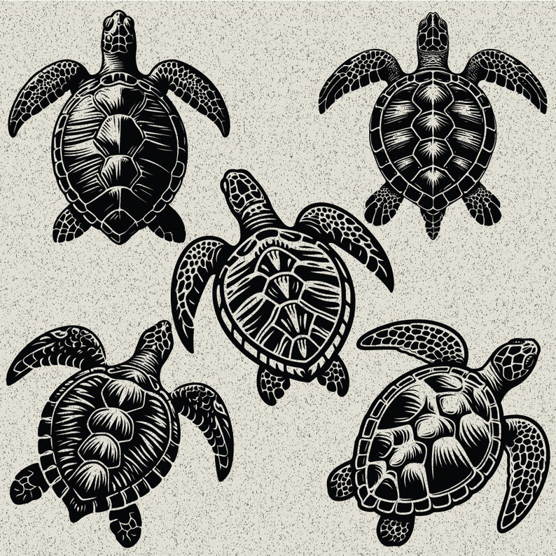 34 Sea Turtle Graphics SVG and PNG Bundle: Laser Engraver and Print ...