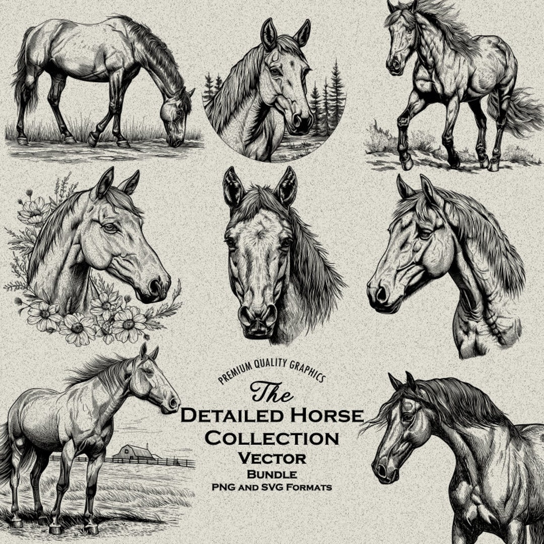 43 Horse Detailed Designs Bundle PNG & SVG for Laser Engraving or Print ...