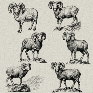 36 Ram Designs Bundle PNG & SVG Digital for Laser Engraving or Print ...