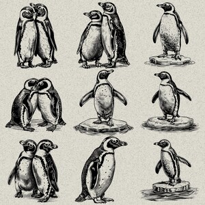 33 Penguin Designs Bundle PNG & SVG Digital for Laser Engraving or ...